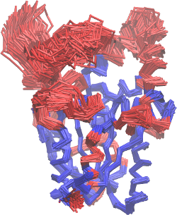 Packmol - Initial configurations for Molecular Dynamics
